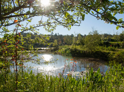 Terra Nova – a global system of autonomous communities