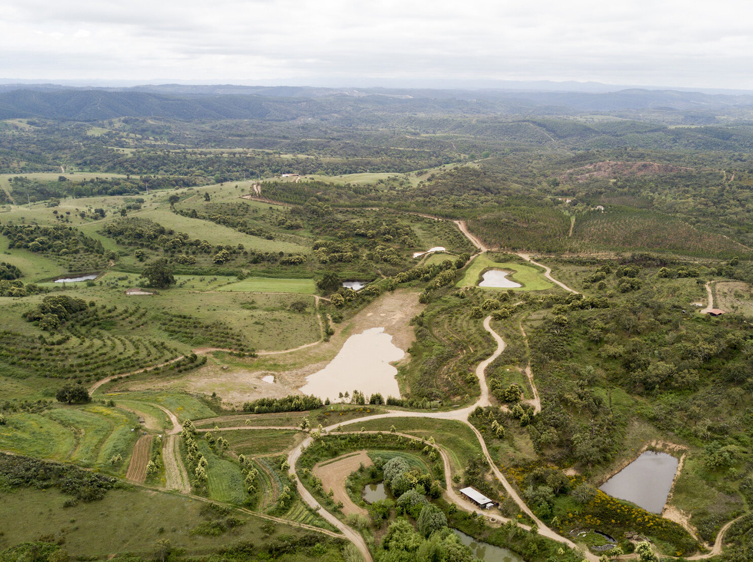 Course: Water Retention Landscape of Tamera | Tamera Peace Research and ...