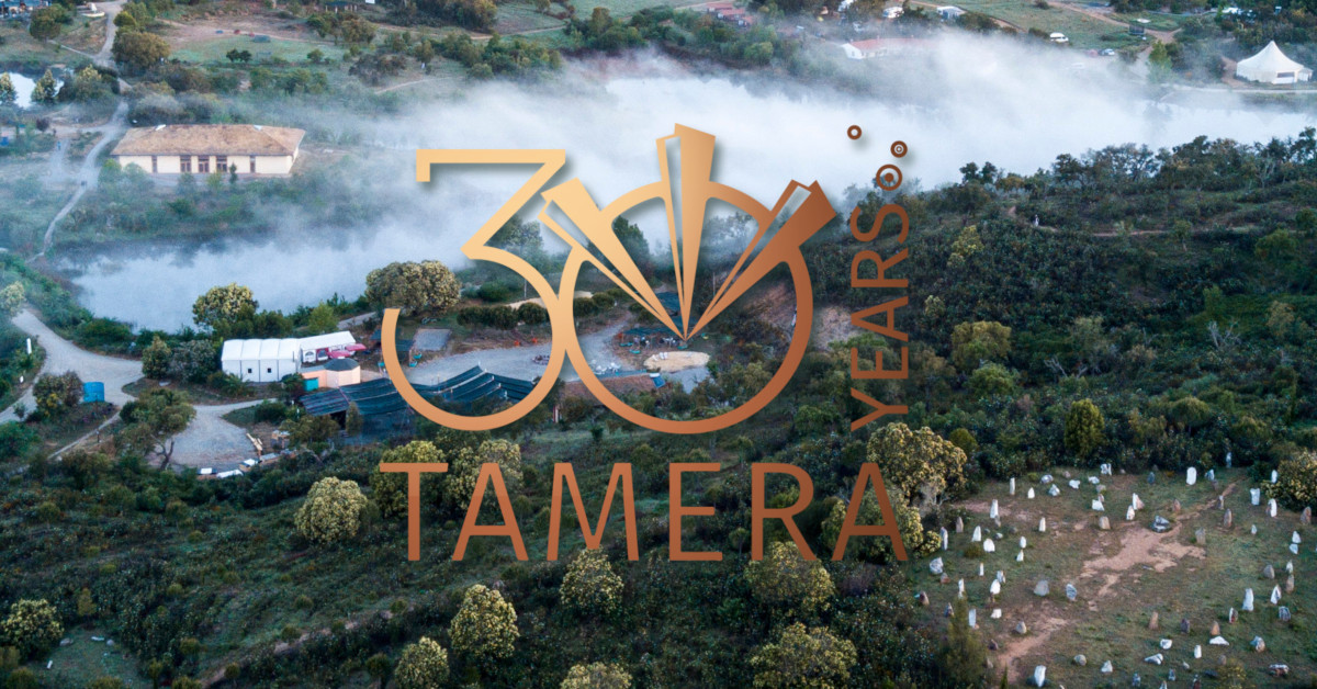 Celebrating Tamera's 30th Birthday